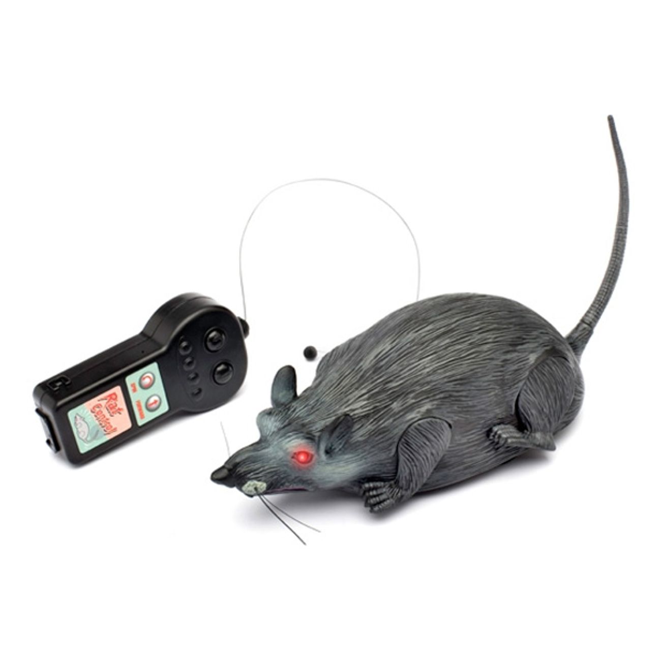 Radiostyrd Råtta | Partykungen