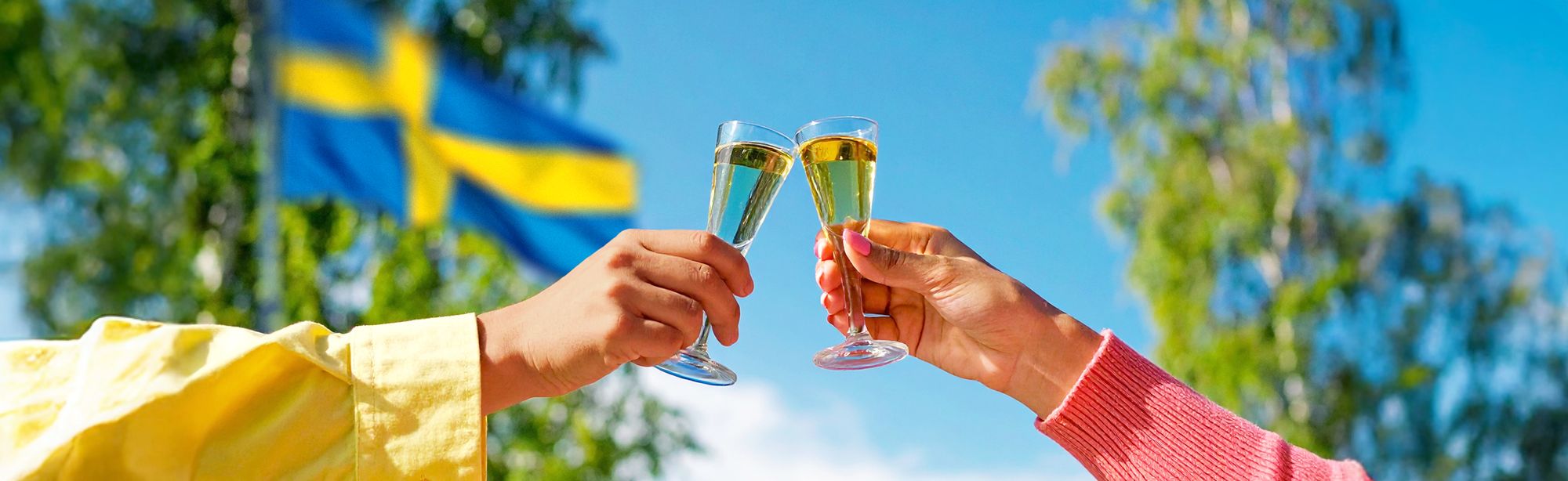 Nya roliga snapsvisor till midsommar 2025 | Partykungen