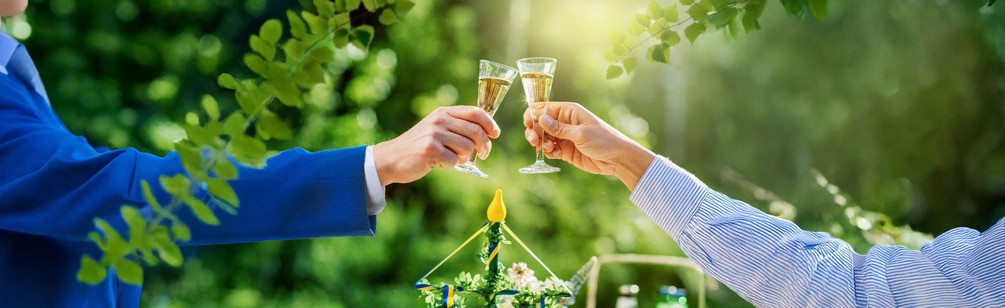 Roliga snapsvisor till midsommarfesten | Partykungen