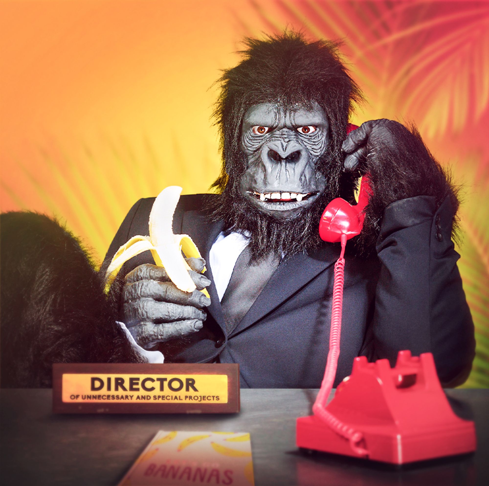 Maskerad, party och presenter | Partykungen