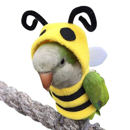 Bikostume til Fugl | Partyking