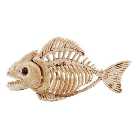 Fisk Skelett Prop | Partykungen