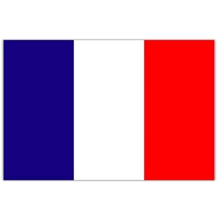 Flag Frankrig | Partyking