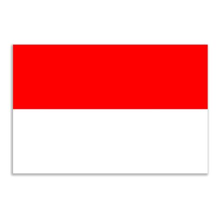 Flagg Indonesia | Partyking