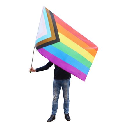 Flagga Progress Pride XL Deluxe | Partykungen