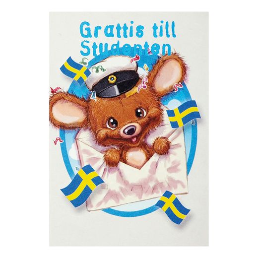 Studentpresent 2022 - Till både kille & tjej Sida 6 | Partykungen