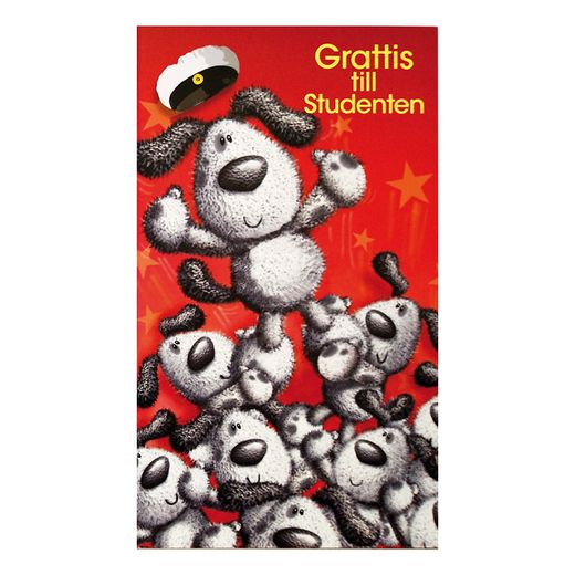 Studentpresent 2022 - Till både kille & tjej Sida 6 | Partykungen