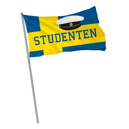 Lav Dit Eget Banner | Partykungen